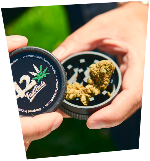 About Fast Buds | Leading Auto Seeds Breeder | Fast Buds
