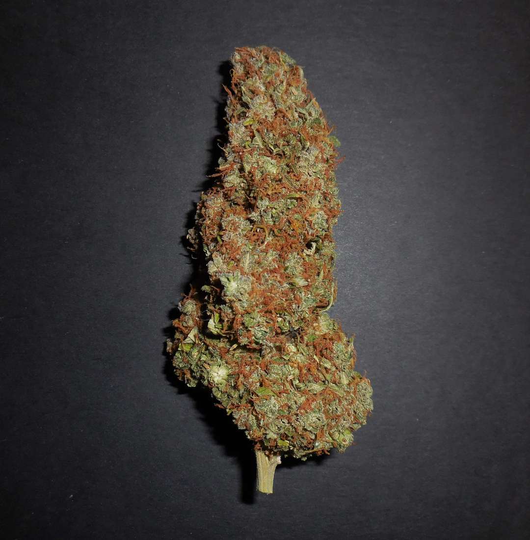 Media Sources - Cream Cookies Auto for Social Media | Fast Buds