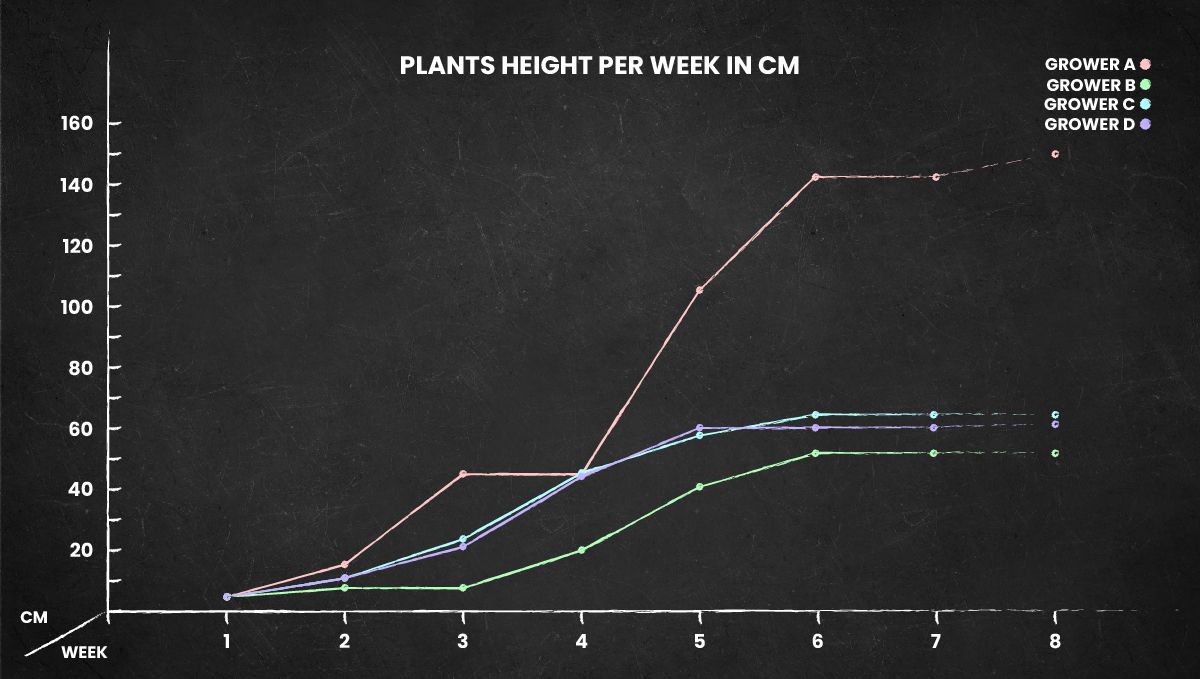 Cherry Cola Auto Cannabis Strain Week-by-Week Guide | Fast Buds