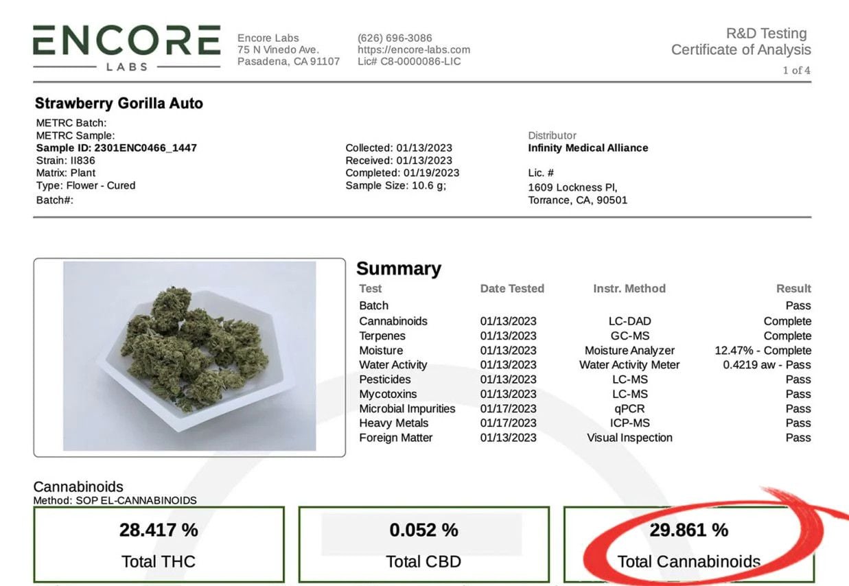 Strawberry Gorilla Auto Cannabis Strain Week-by-Week Guide | Fast Buds