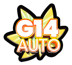 Buy G14 Auto Cannabis Seeds | Fast Buds