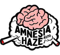 Amnesia Haze Auto Cannabis Seeds – Buy Amnesia Haze Weed Strain, Review ...