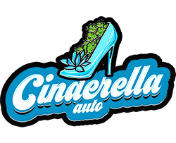 Cinderella Auto Cannabis Seeds – Buy Cinderella Weed Strain | Fast Buds