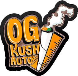 OG Kush Auto Cannabis Seeds for Sale – Buy OG Kush Strain | Fast Buds