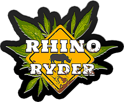 Rhino Ryder Auto Seeds – Buy Rhino Ryder Strain | Fast Buds