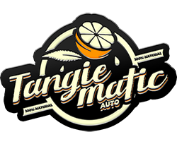 Buy Tangie Auto Cannabis Seeds | Fast Buds