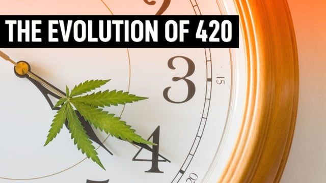 The Evolution of 420 Video | 42 Fast Buds