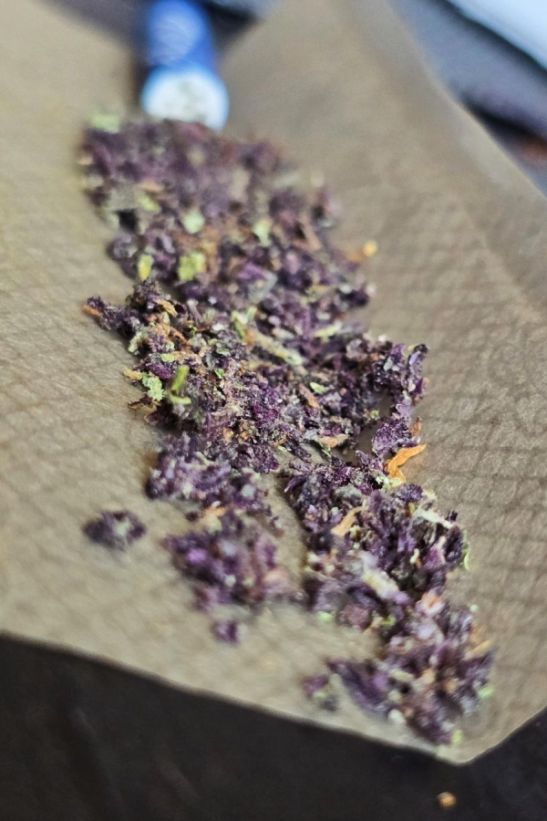 Buy Blackberry Auto Cannabis Seeds | Fast Buds