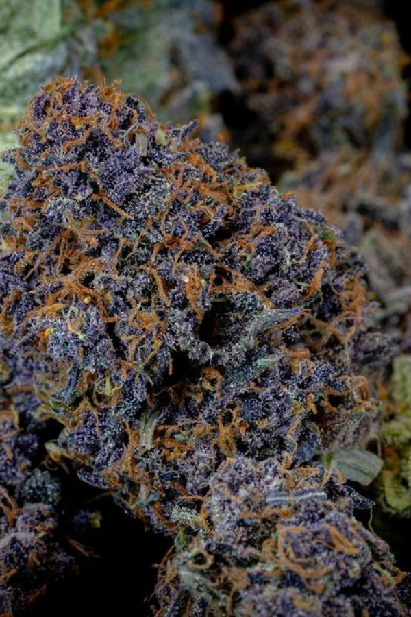 Buy Lemon Cherry Cookies Auto™ Cannabis Seeds | Fast Buds