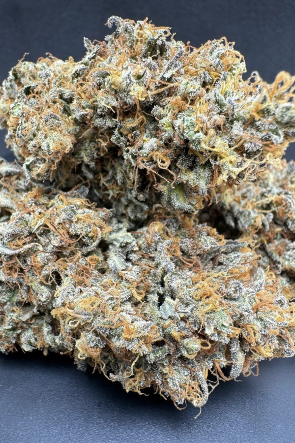 Buy Orange Sherbet FF Cannabis Seeds | Fast Buds