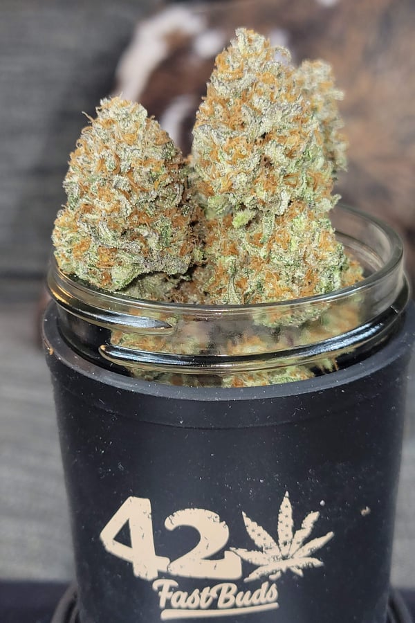 Buy Apple Strudel Auto™ Cannabis Seeds | Fast Buds