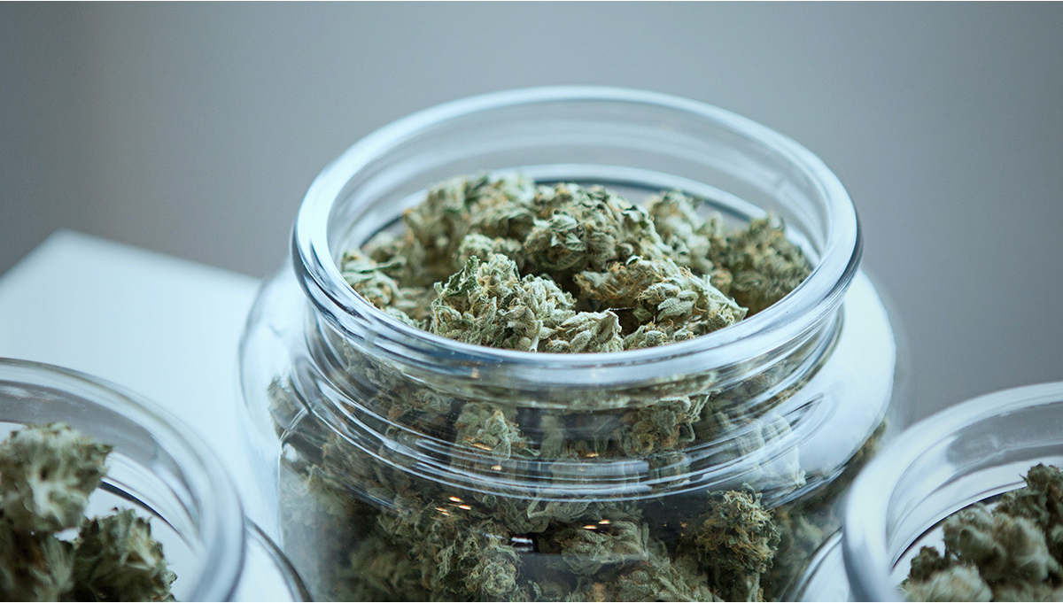 Top 5 Best Yielding Autoflower Strains in 2024 | 42 Fast Buds