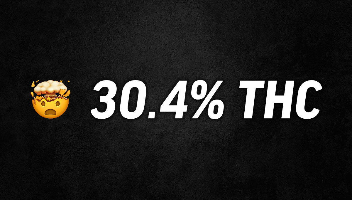 Historischer Moment: Erste Autoflower erreicht mehr als 30% THC auf der ...