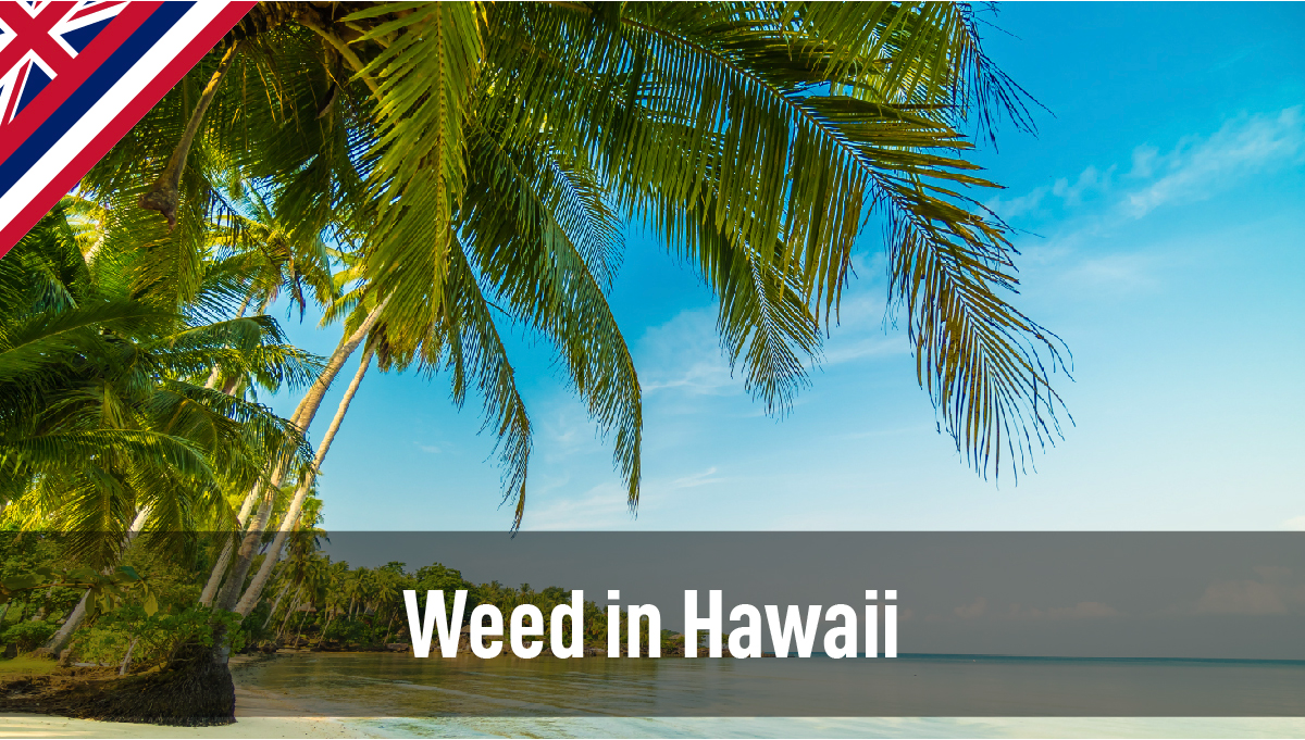 Weed in Hawaii: Cannabis Legal Status Guide | 42 Fast Buds