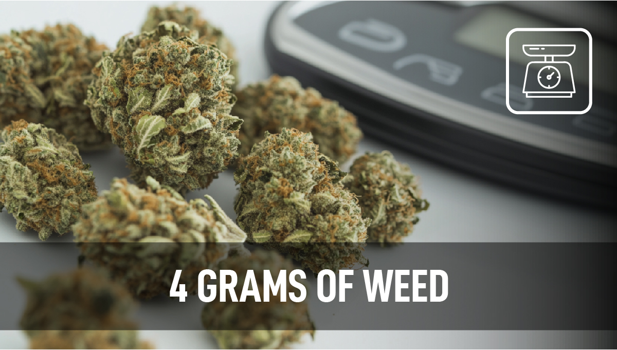 4 Grams Of Weed Understanding Marijuana Weights And Measurements 42