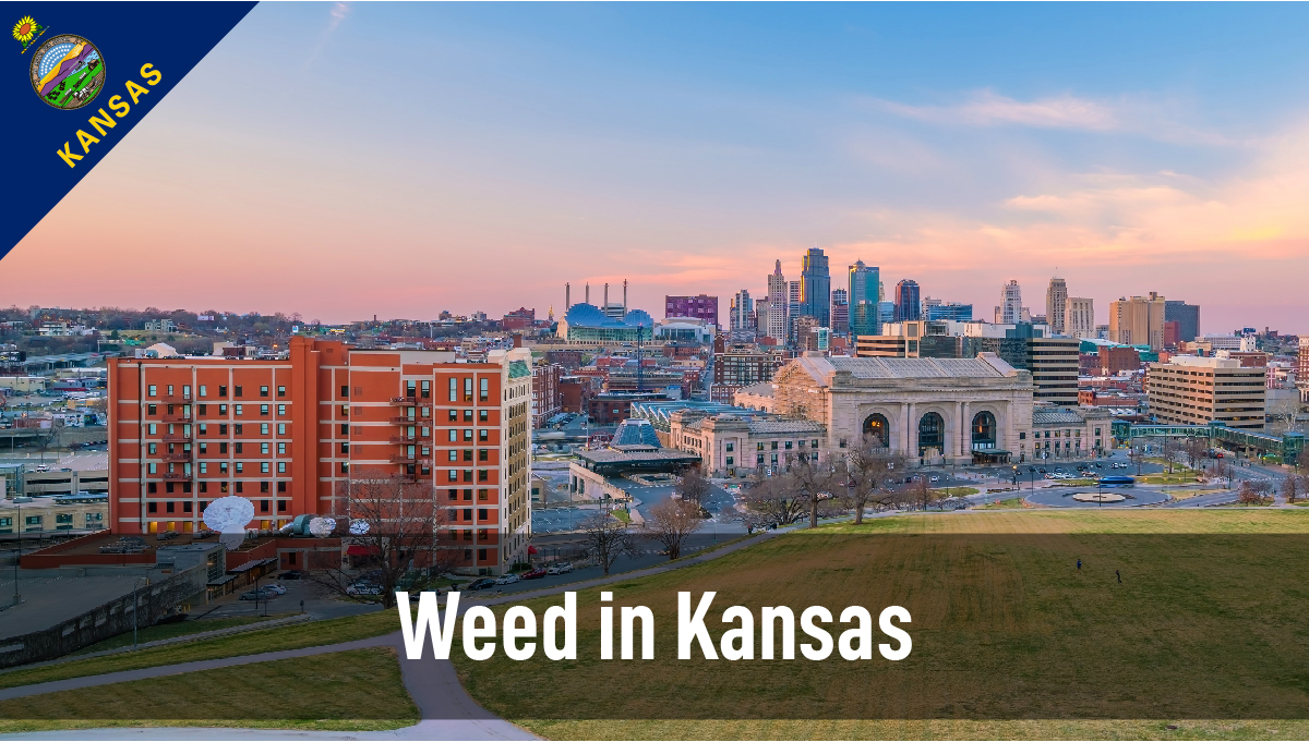 Weed in Kansas: Cannabis Legal Status Guide | 42 Fast Buds