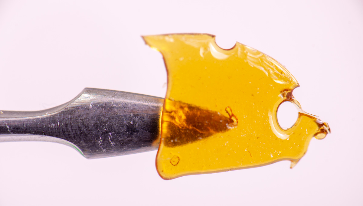 Cannabis Shatter: What Is It, How To Make And Smoke THC & CBD Hash Oil ...