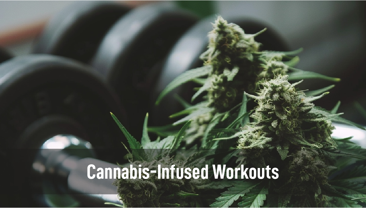 Cannabis-Infused Workouts: Myth or Magic for Enhancing Physical ...
