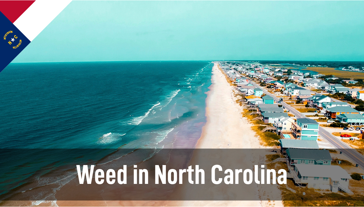 Weed in North Carolina: Cannabis Legal Status Guide | 42 Fast Buds