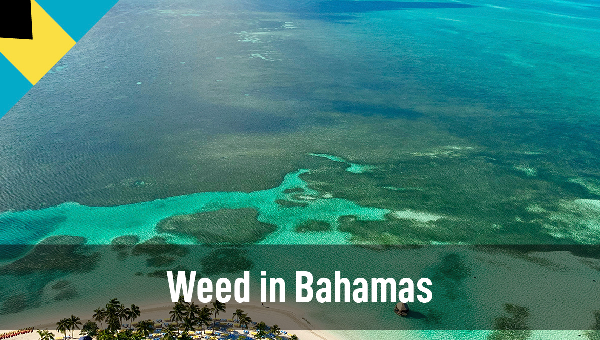 Weed in the Bahamas: Cannabis Legal Status Guide | 42 Fast Buds
