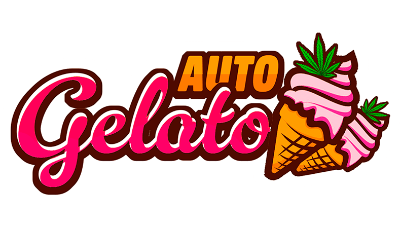 Gelato Auto Cannabis Seeds | Fast Buds
