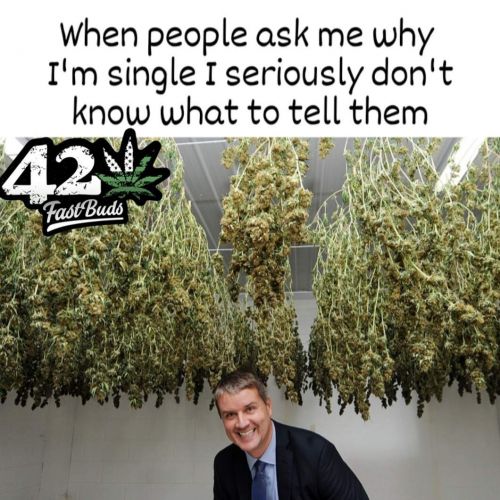 Fast Buds Autoflowering Cannabis Seeds